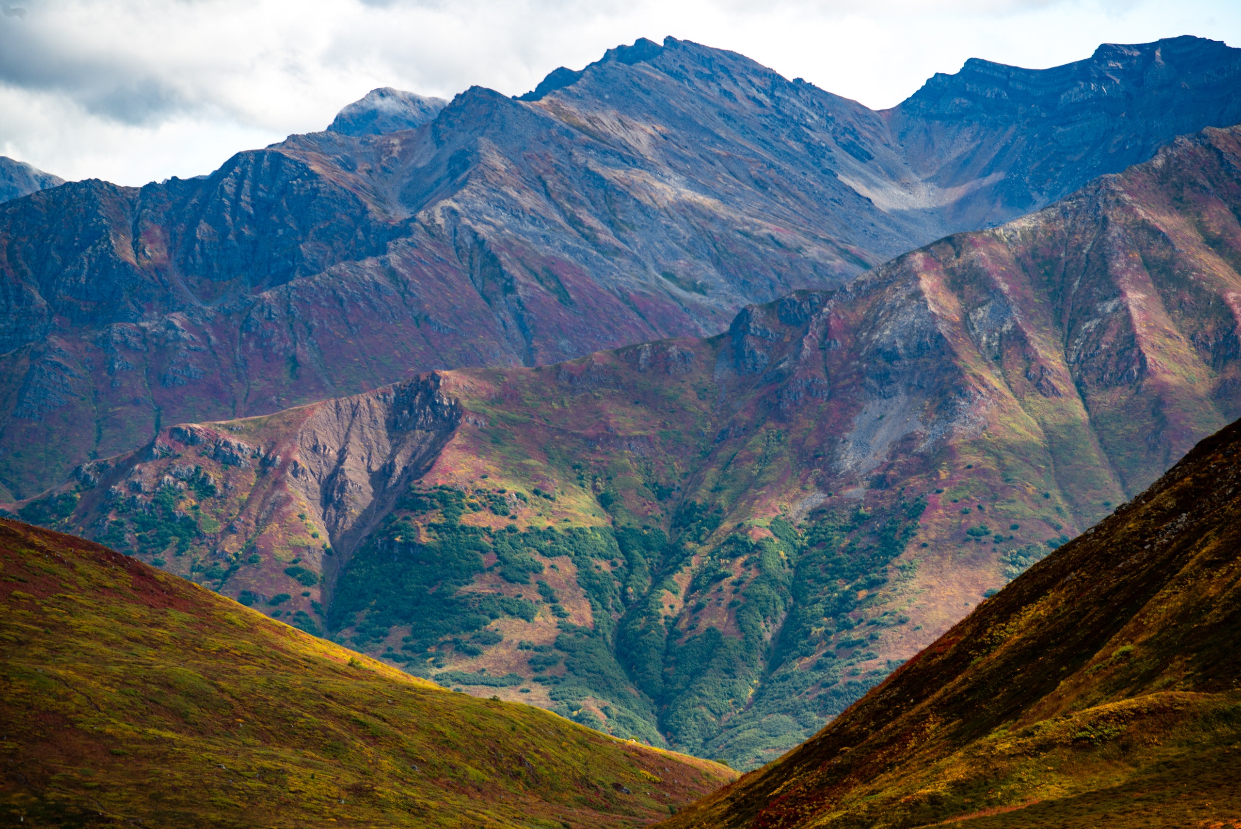 Pro Tips for Editing RAW Images Like an Expert | We are NOT your normal ...